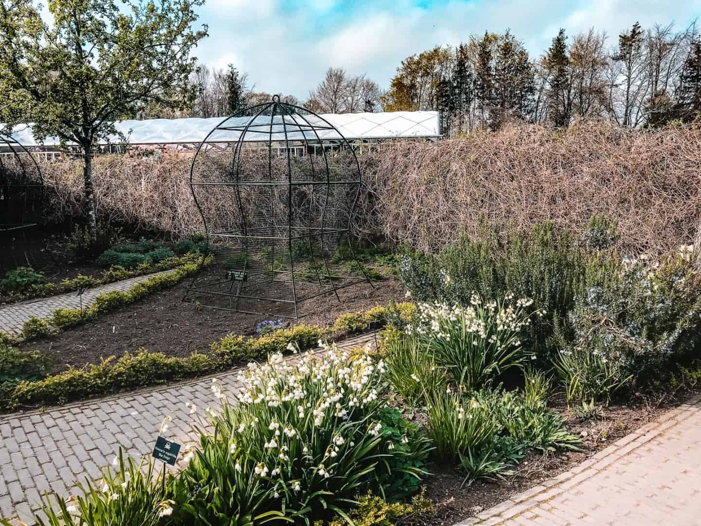 Alnwick Poison Garden - Enter The World's Deadliest Gardens (2025)!