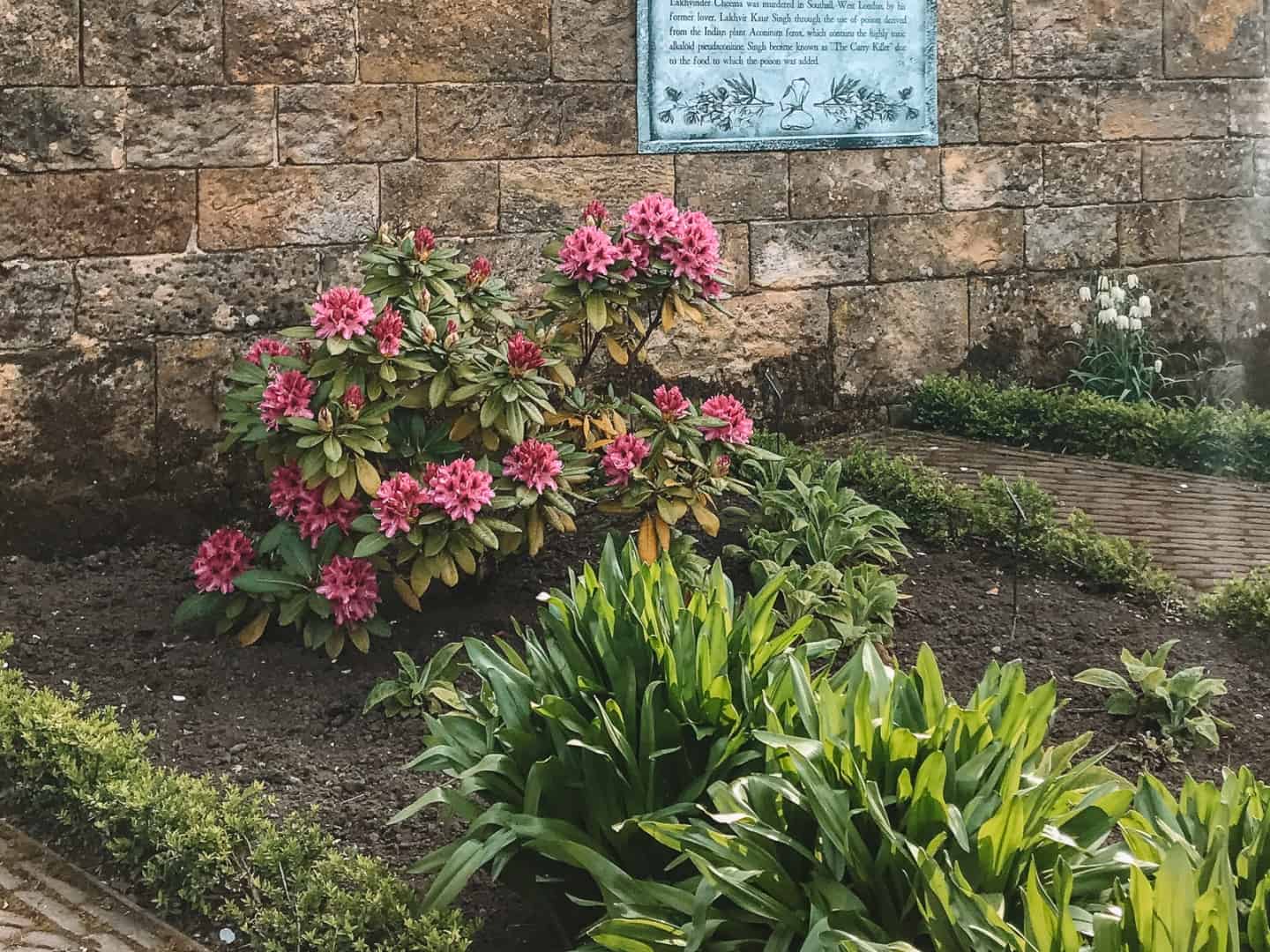 Alnwick Poison Garden - Enter The World's Deadliest Gardens (2025)!