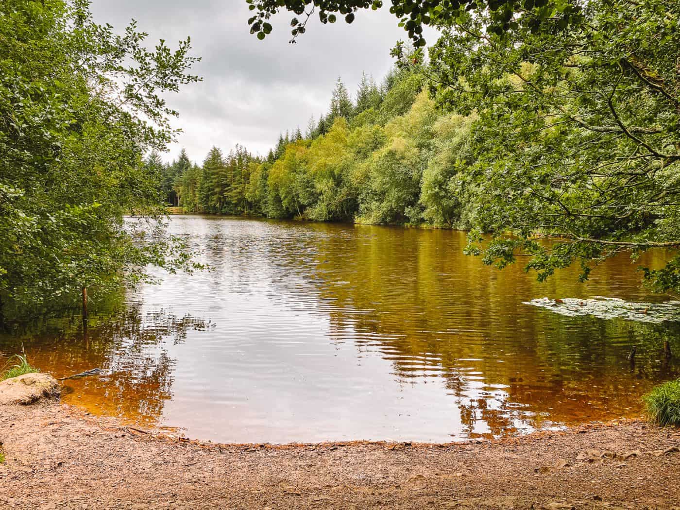 Speech House Lake Merlin Filming Location - How To Find The Lake Of ...