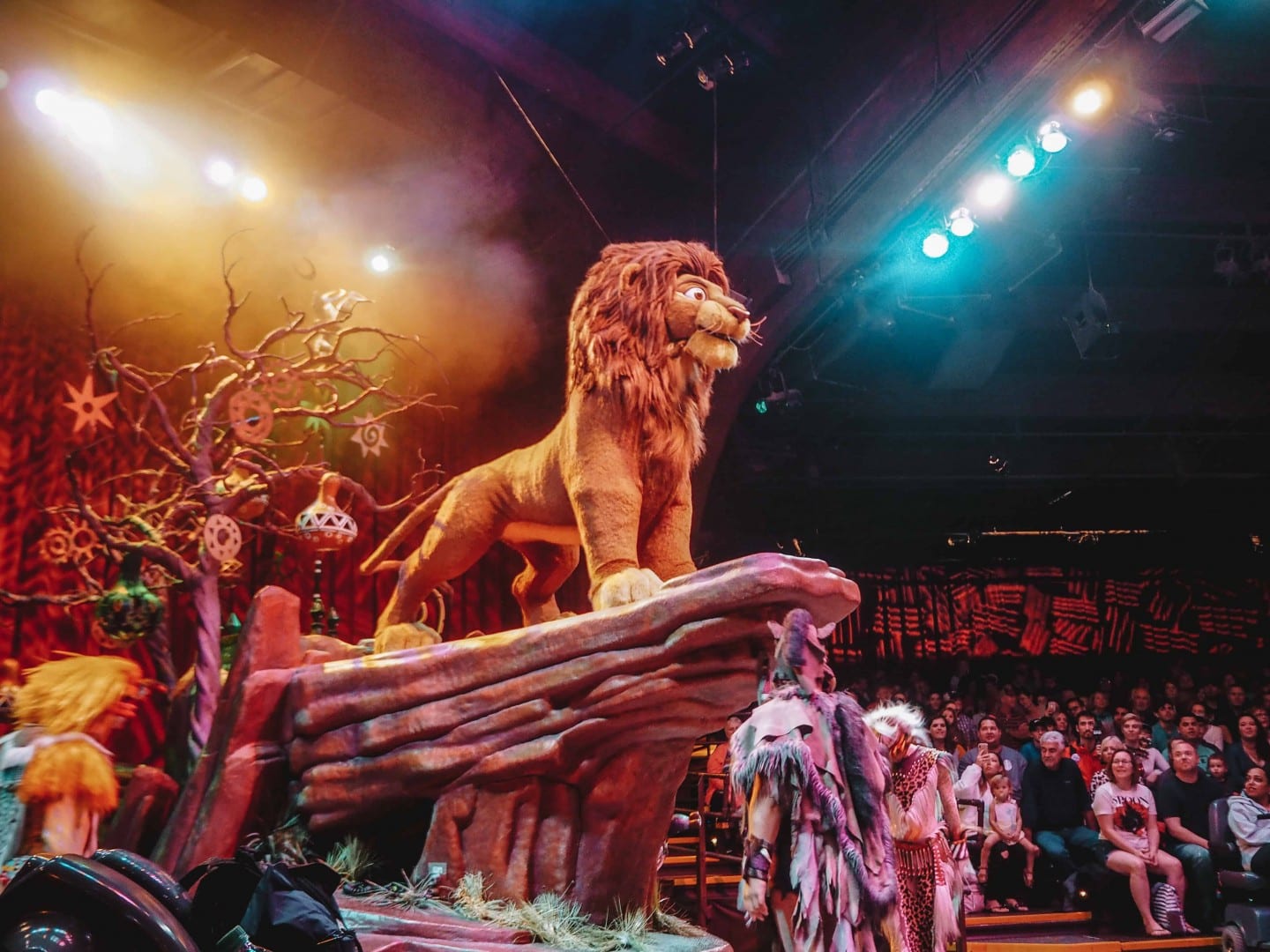 12 Must See Shows At Walt Disney World - You Cannot Miss These!