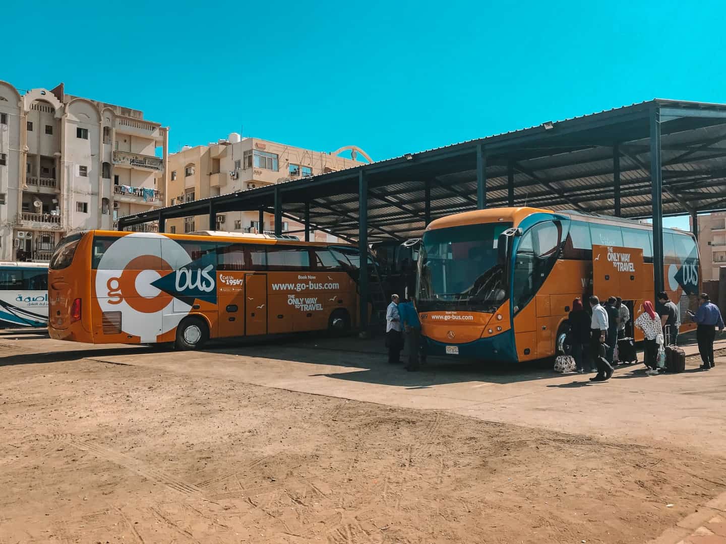 My Brutally Honest GoBus Egypt Review As A Tourist