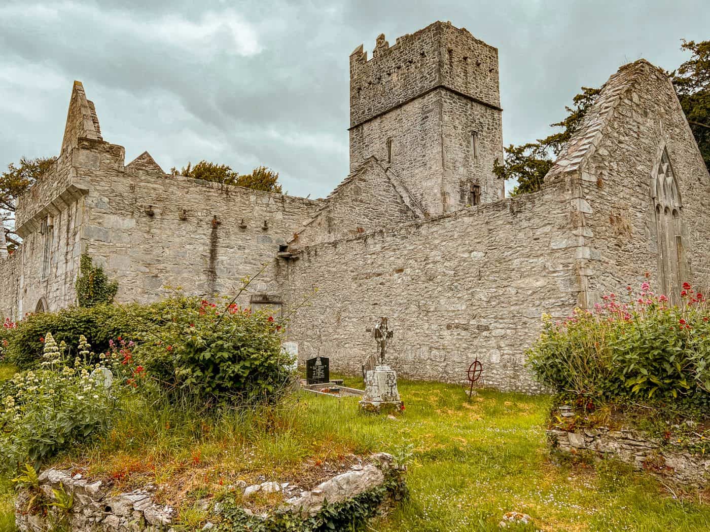 Muckross Abbey (2025) - How To Visit The Magical Ruins & Yew Tree!
