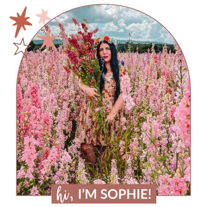 Visit The RSC Tower - A Spectacular Bird's Eye View Of Stratford Upon Avon!