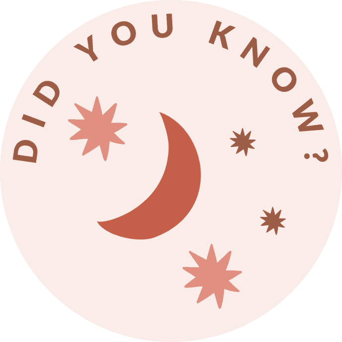 Čachtice Castle - Visit Elizabeth Bathory’s Castle In Slovakia (2025)!